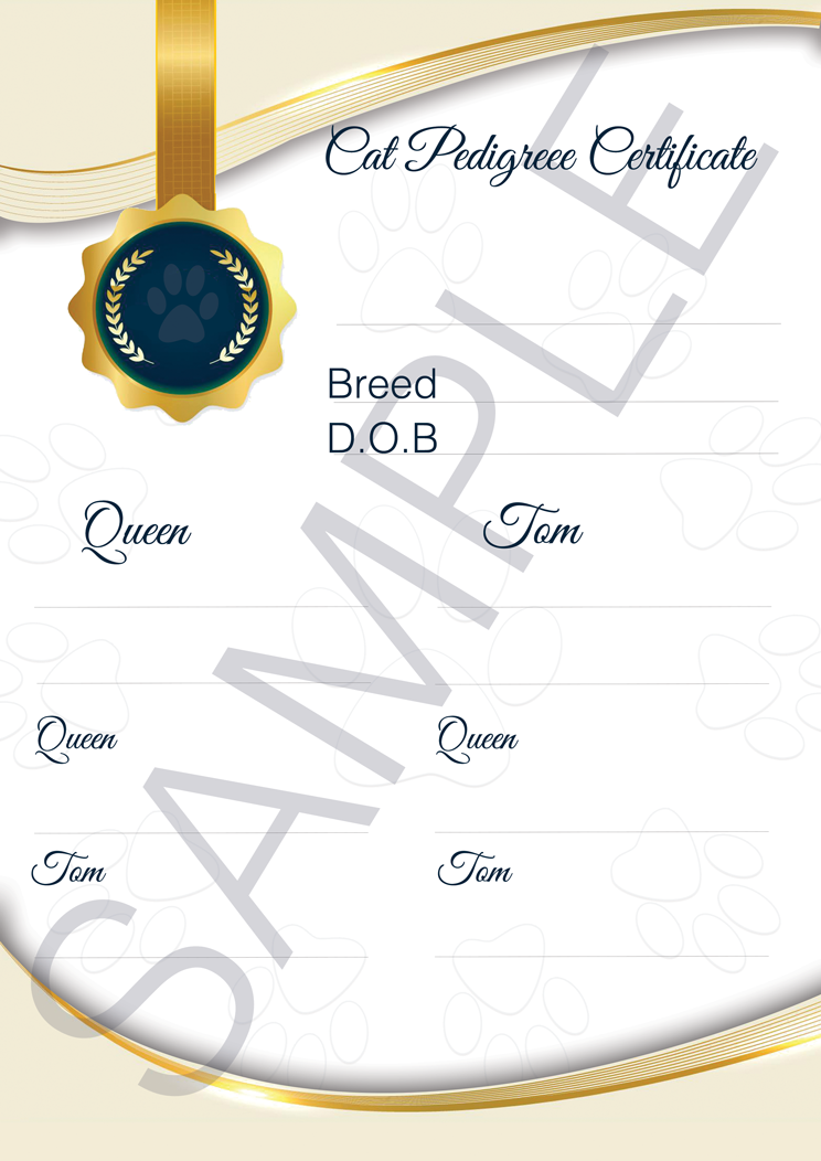 Ten Blank Cat Pedigree Certificates Two Generation - Pedigree Form Maker